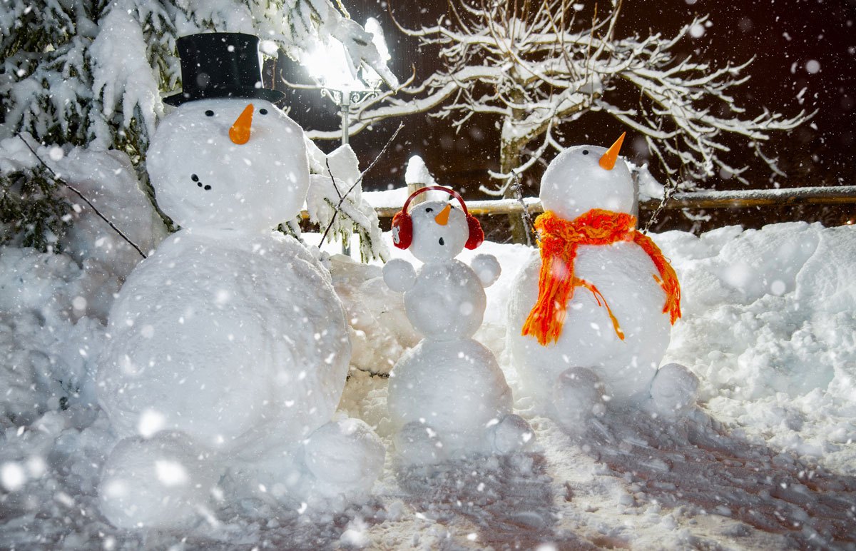 MSS Weekly Update: December 2-6, 2024 - Marshall Springs School