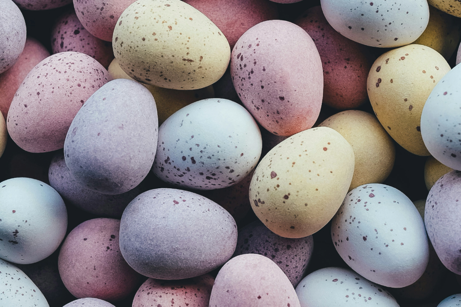 MSS Weekly Update: April 14-18, 2025 - Marshall Springs School