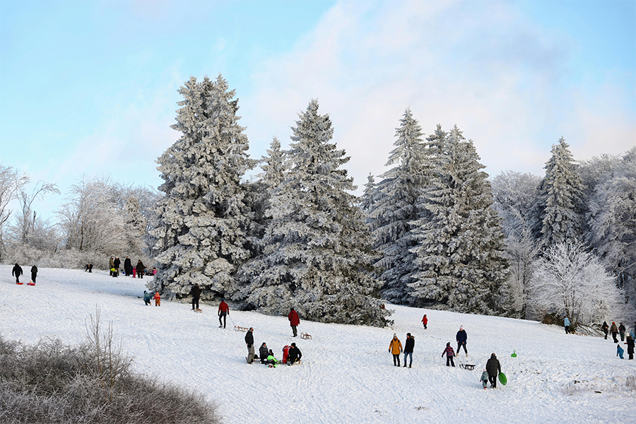 MSS Weekly Update: February 10-14, 2025 - Marshall Springs School